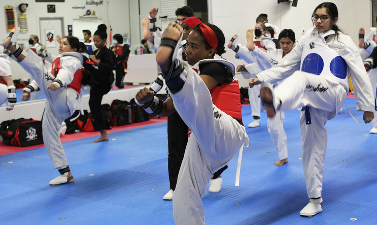 ADULT CLASS | MegaKick Martial Arts | Powell, OH's Premier Tae Kwon Do Facility