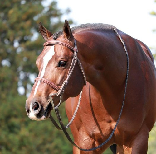 When In Chrome AQHA | Roan To Riches