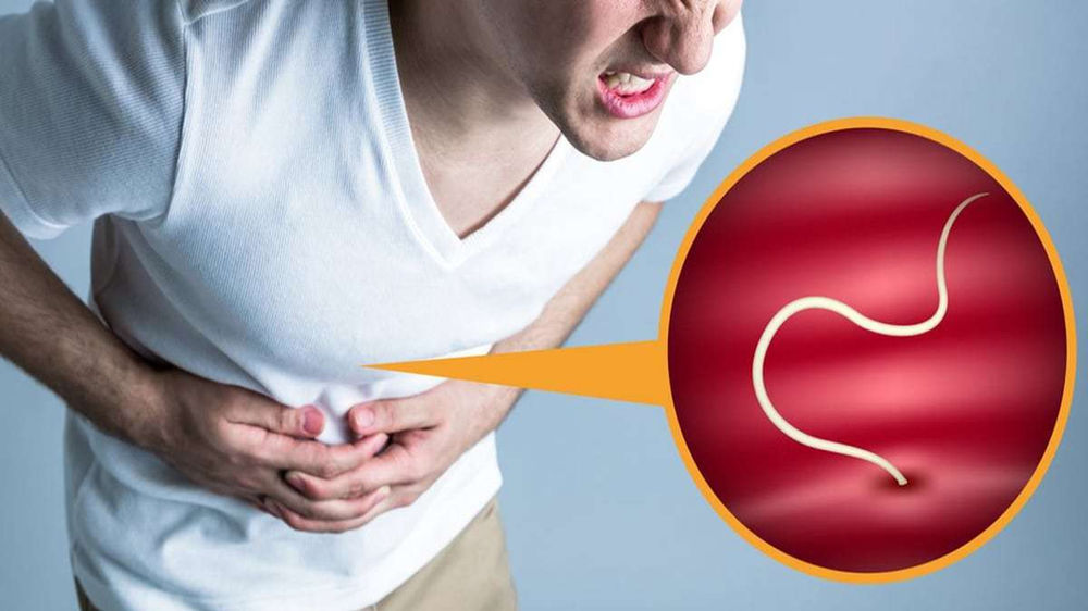 La importancia de desparasitarse.