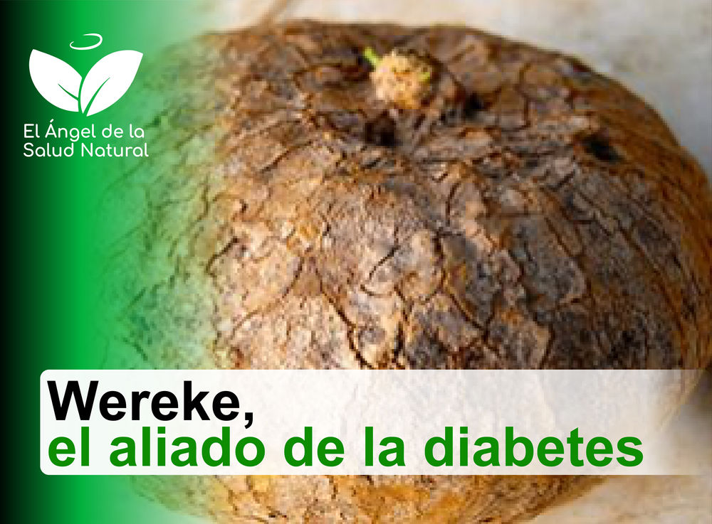 Wereke el aliado de la diabetes