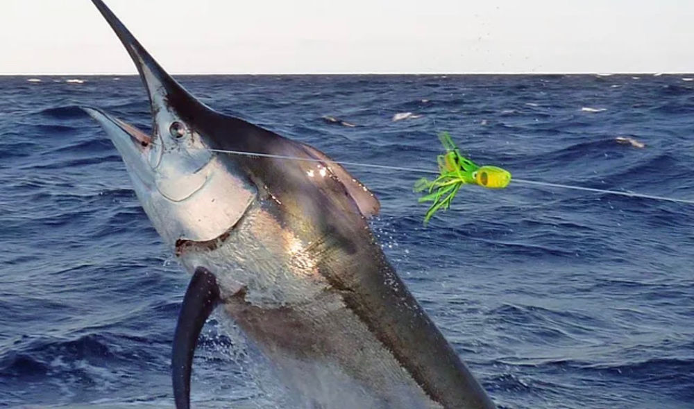 Raw Fishing Lures and Tackle