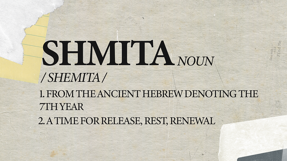 Teaching Series - Shmita | allshores