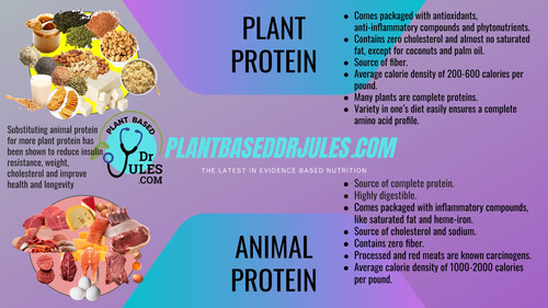 Nutrient Comparison Charts | Plant-Based Dr Jules