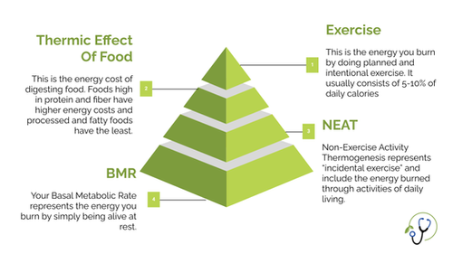Energy Expenditure Breakdown | Plant-Based Dr Jules
