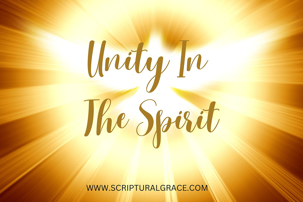 Practicing Unity In The Spirit