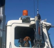 Western Star Beacon Brackets - Constellation (D/P Sides) | Big Rig Bullbars