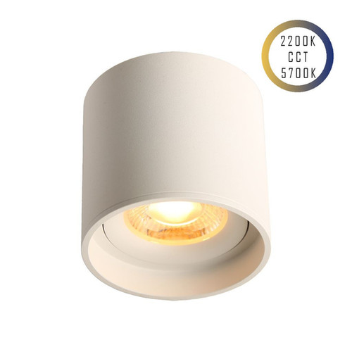 LED Ceiling Spot 24V Tuneable White | Luttinger