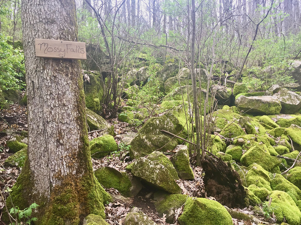 Chapman Mountain Nature Preserve