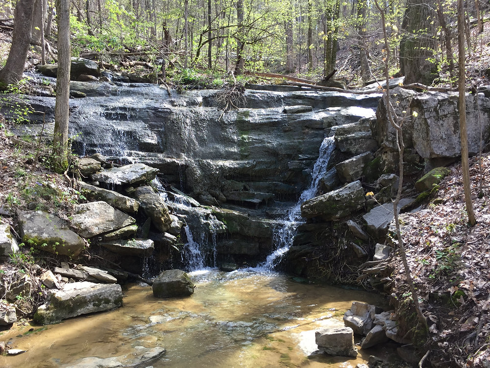 Blevins Gap Preserve
