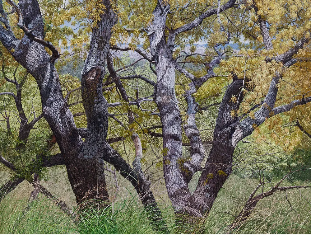 Progression of Painting MOUNT TABOR OAKS IN FLOWER by Richard Tiberius ...