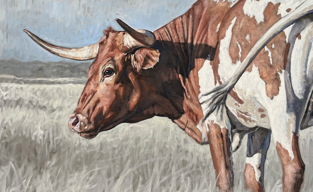 Nathan Novack | Davis & Blevins