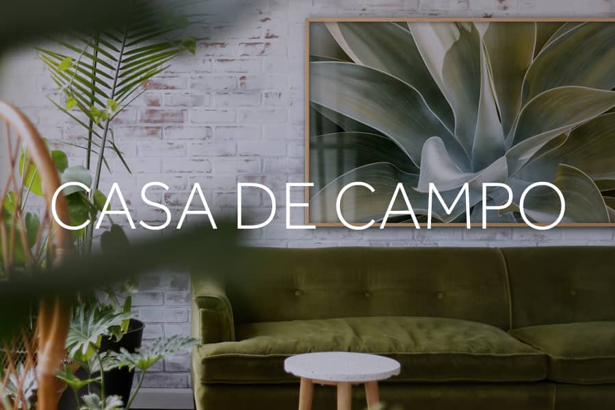 Fotos Fineart | Luka.art | Porto Alegre