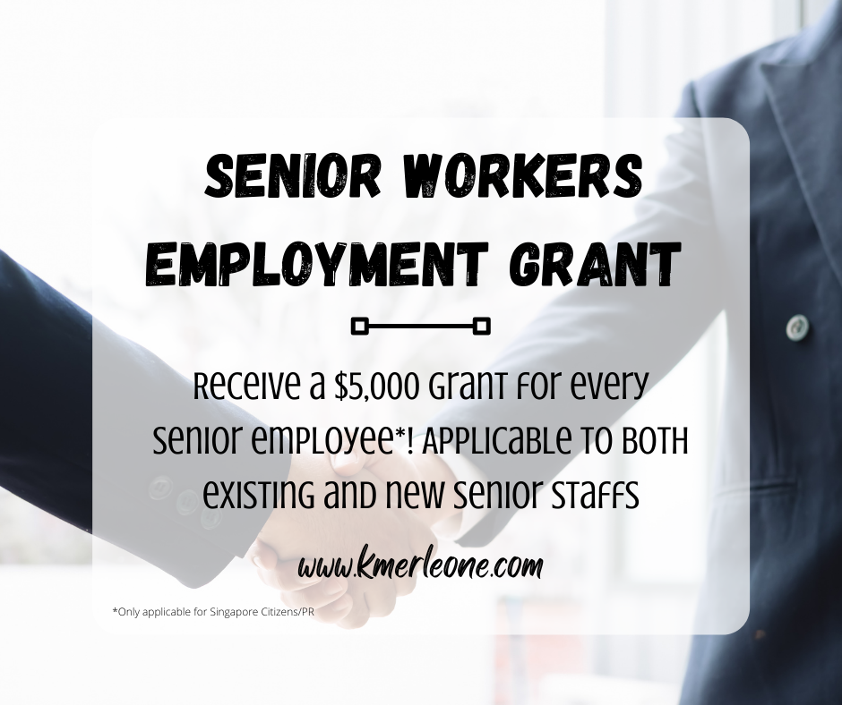 Senior Workers Employment Grant