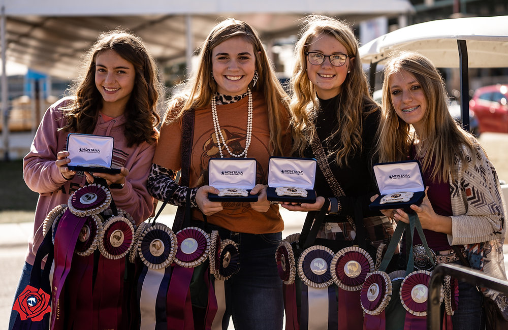 8 Resources to Prepare for the National Arabian Horse Hippology Contest