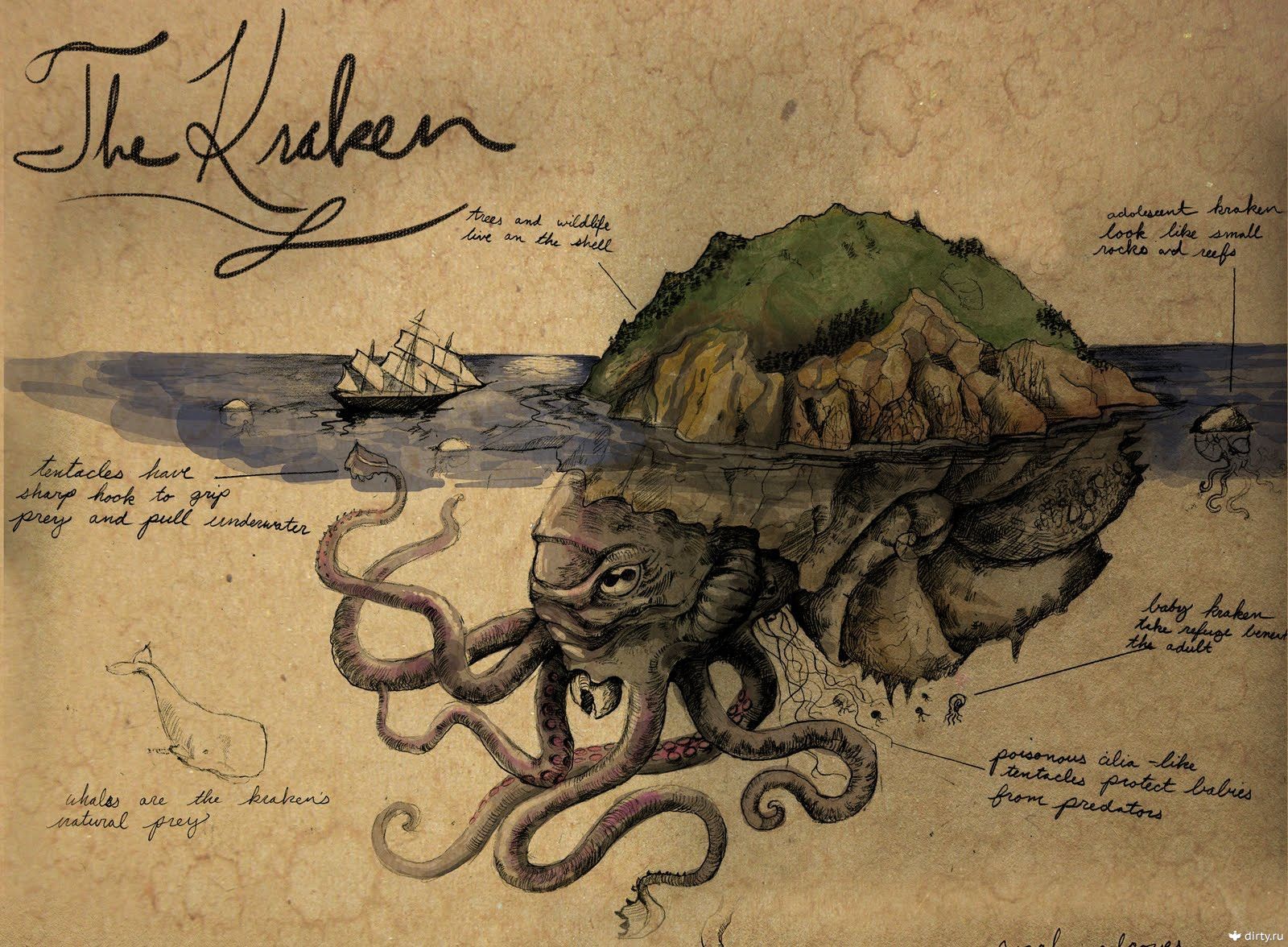 Kraken by Unknown Artist : r/ImaginaryLeviathans