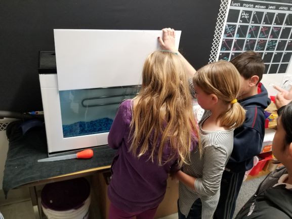 Trout in the Classroom