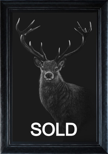 The Monarch To Be by Karen Rankin Neal | Eden Gallery