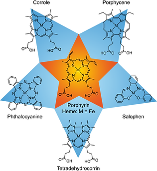 Publications | Lemon Lab