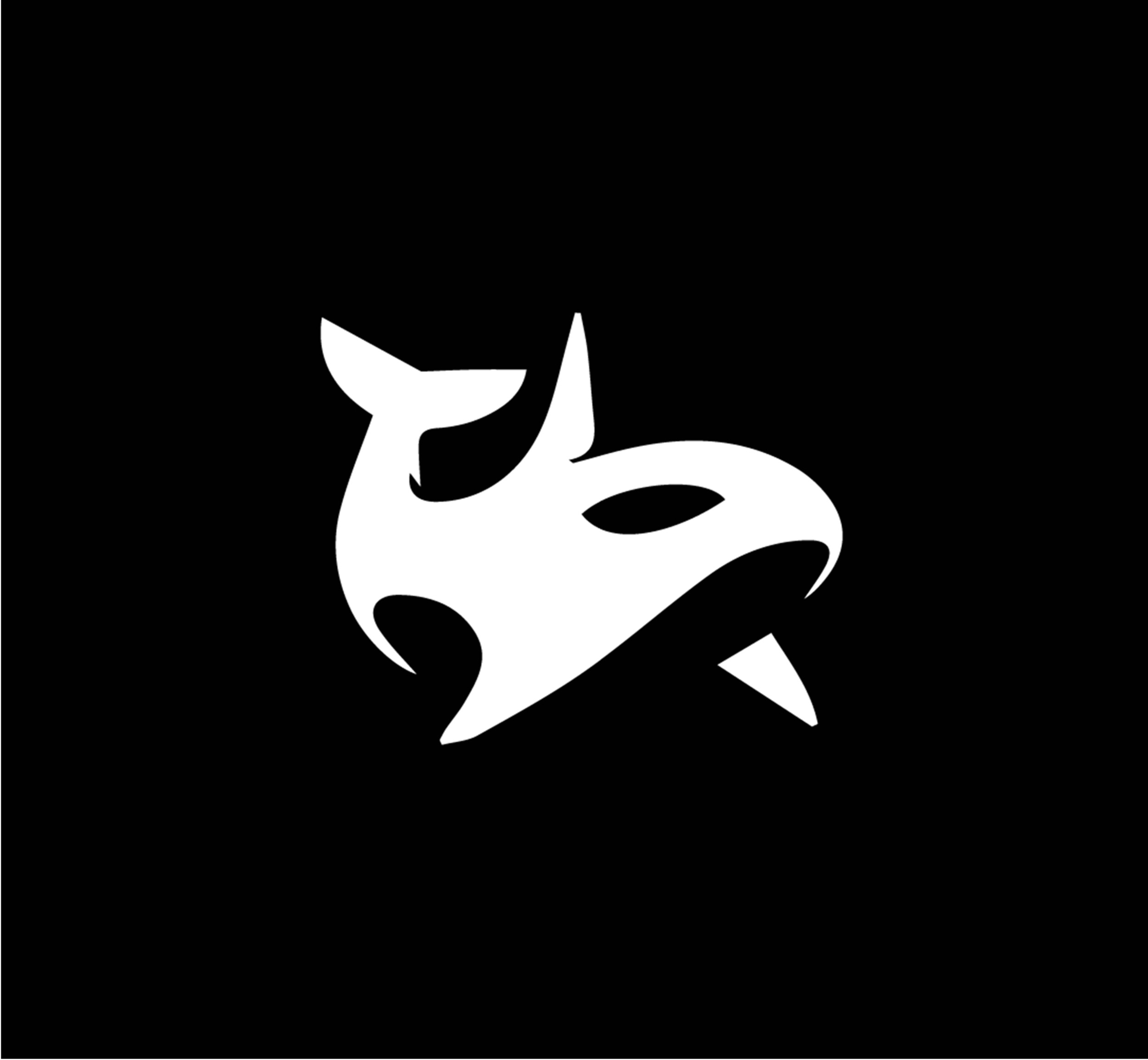 Quienes Somos | Orca Network