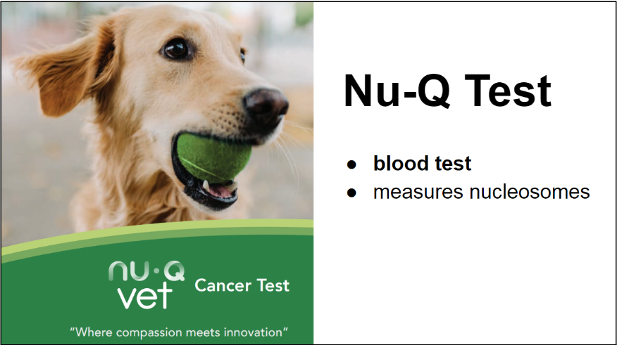 New Canine Cancer Screening Tests