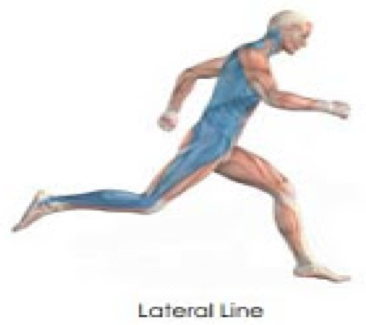 Addressing the Lateral Fascial Sling