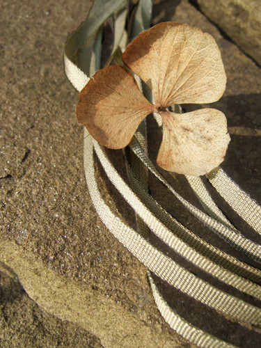 4mm Faveur Stone Ribbon (100% Cotton) | The Ribbon Shop