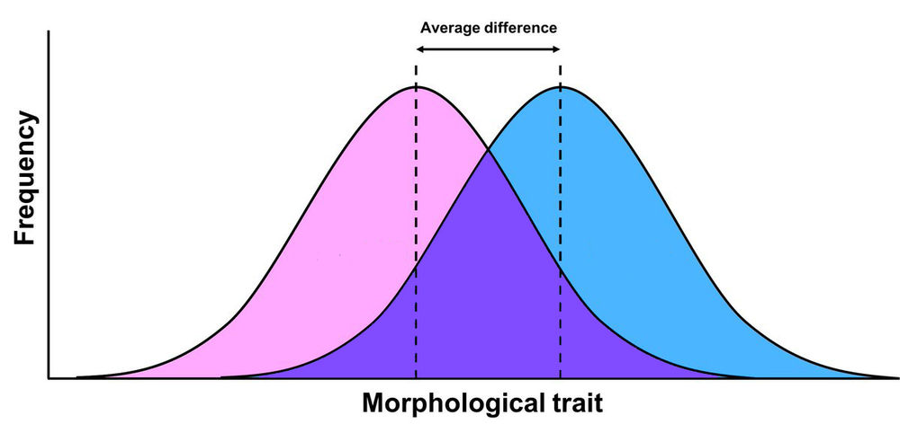 Let's talk about (biological) "sex", baby