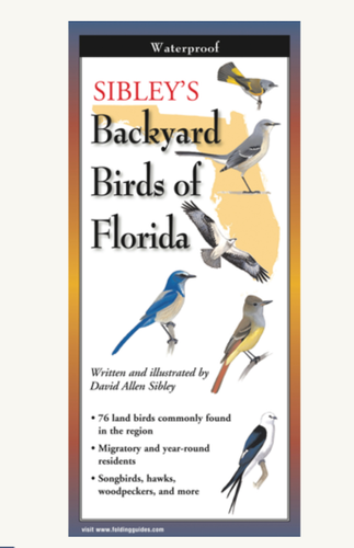 Backyard Birds of FL Pocket Guide | ANW