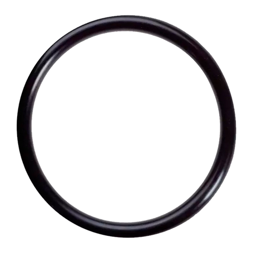 O RING 30.8*3 DS-150 ITALIKA [E10030011] | Piston Bikers