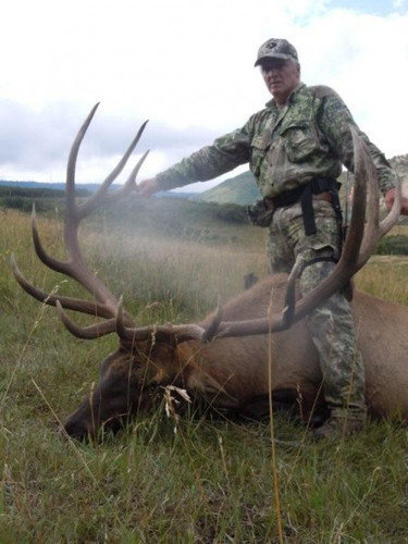 Colorado Bull Elk Hunt - $2,317.5 | Urgent2Hunt