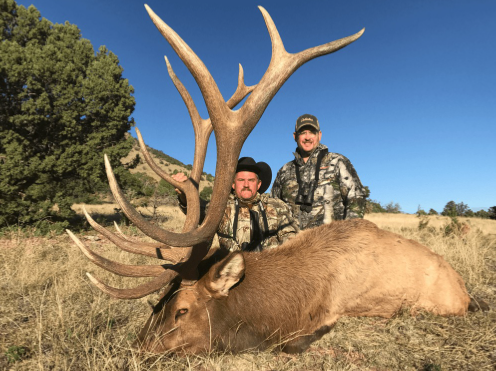 Trophy Elk Hunting: Your Guide to North America's Premier Destinations