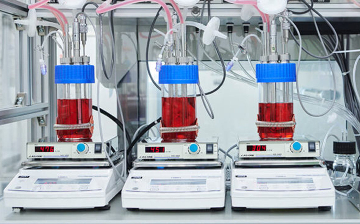 Good Food Institute announces launch of GFI Japan | New Tech Foods