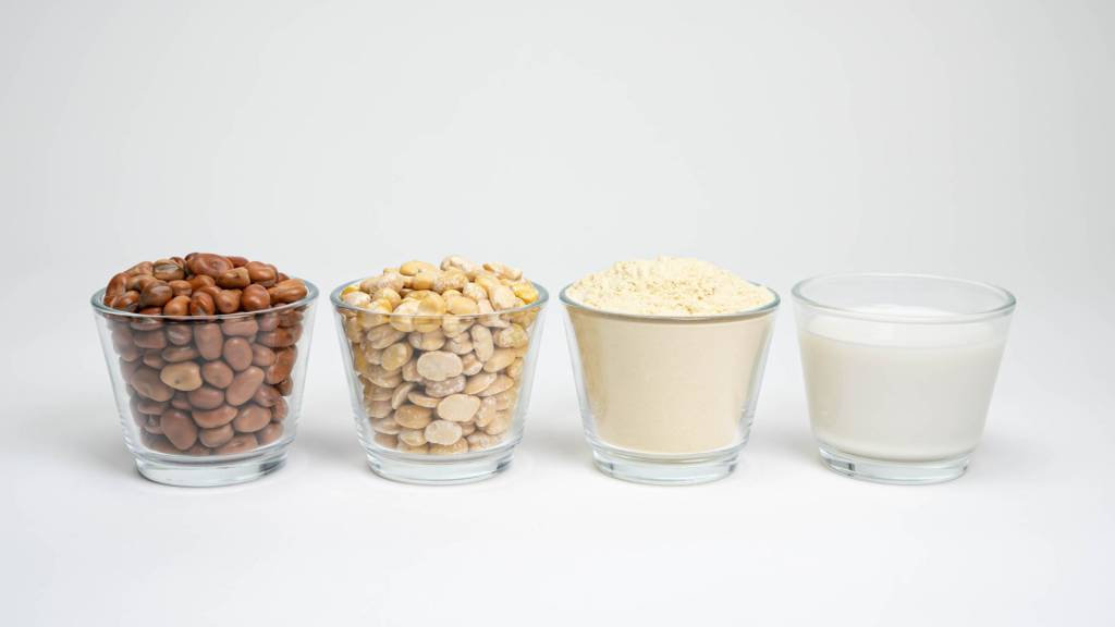 Roquette launches plant-based Nutralys Fava S900M ingredient | FoodBev ...