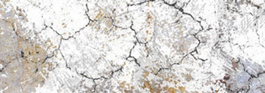 Illustration Portfolio - Tyler Baird