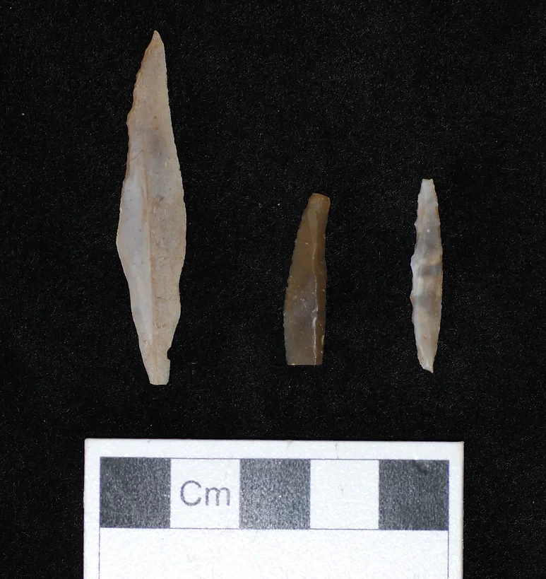 SHARP Lecture: Lithics, Lithic Scatters and Landscape | SHARP SHARP Lecture: Lithics, Lithic Scatters and Landscape | SHARP