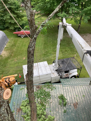 Home | Havreluk Tree Service | Vermont