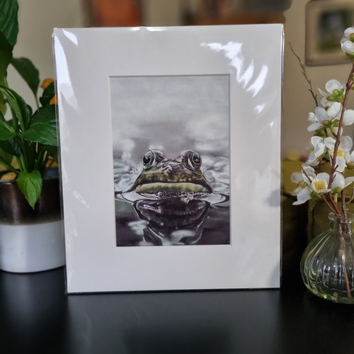 Freddo - Art Print | Helen Carter Artist
