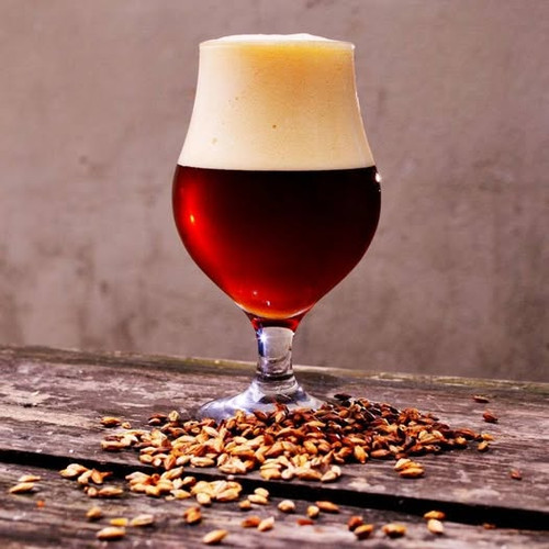 Kit Cerveza Dubbel | Centro Cervecero