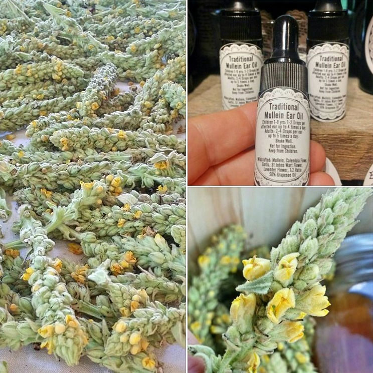 Botanical Compounds & Tinctures | StoneHouse Holistics | Ontario 2/3