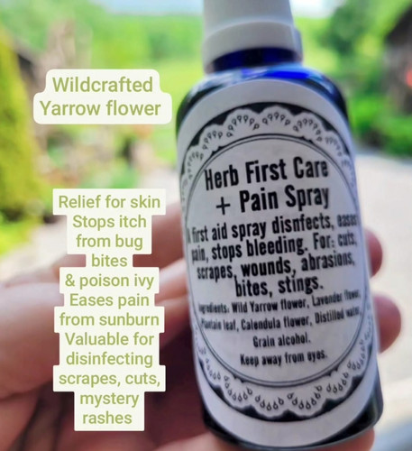 Herb First Care Spray ~ Wildcrafted Yarrow flower | stonehouseholistics