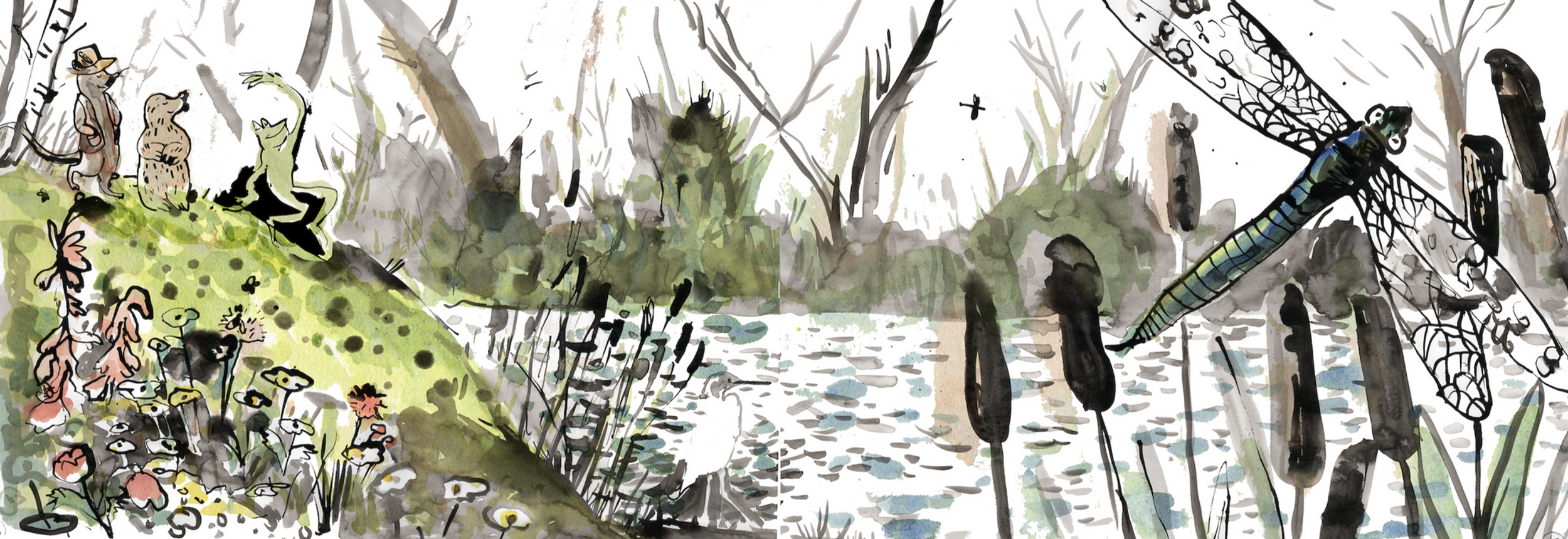 Emily Groves | Artist & Illustrator