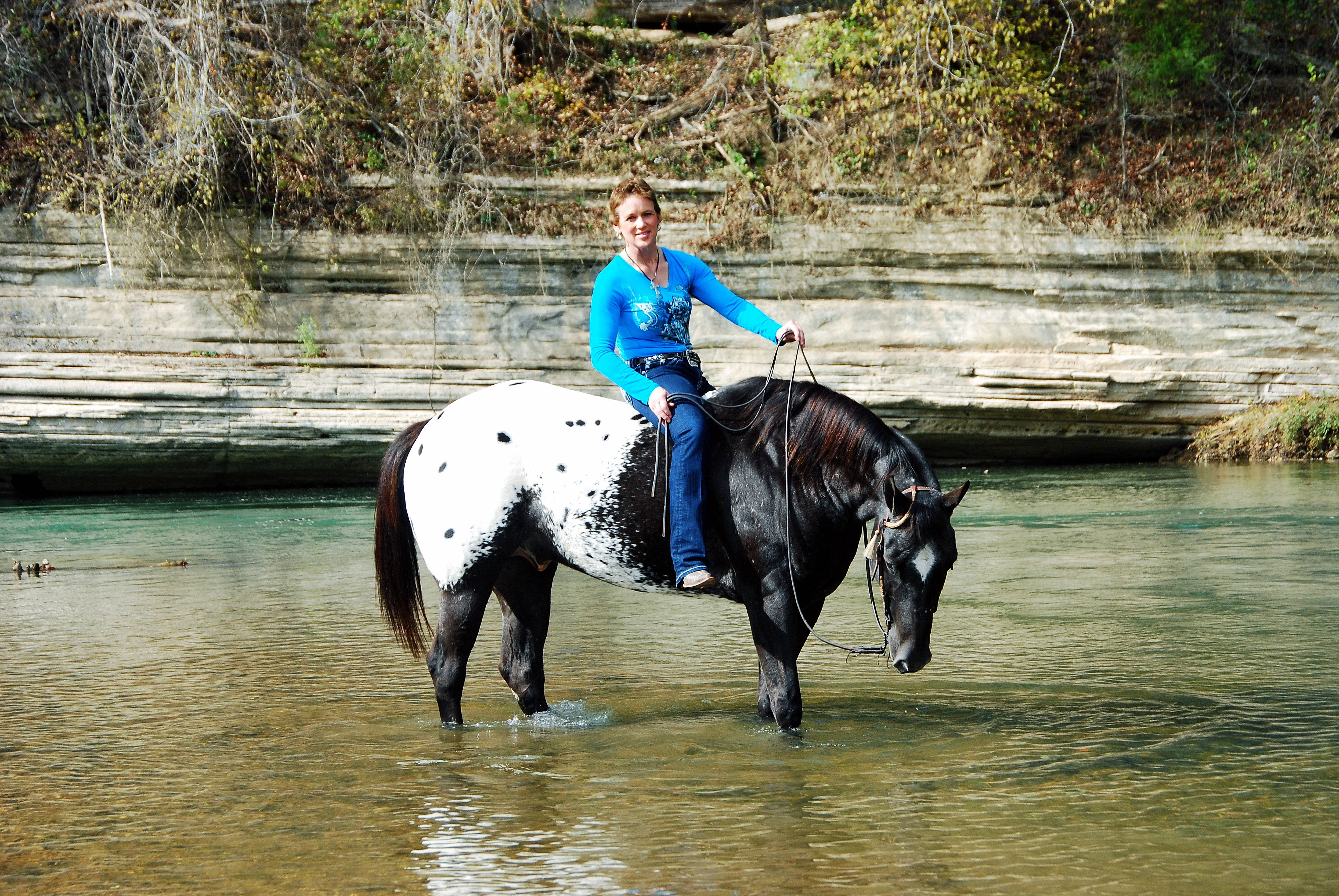 Buffalo River Trail Ride, Inc. - Gallery