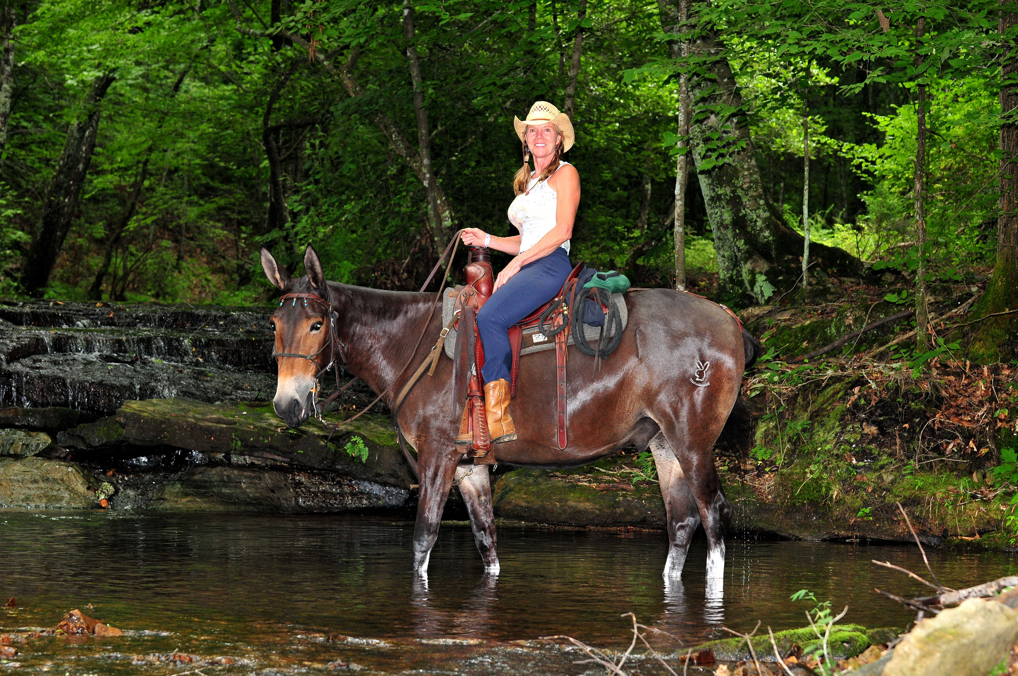 Buffalo River Trail Ride, Inc. - Gallery