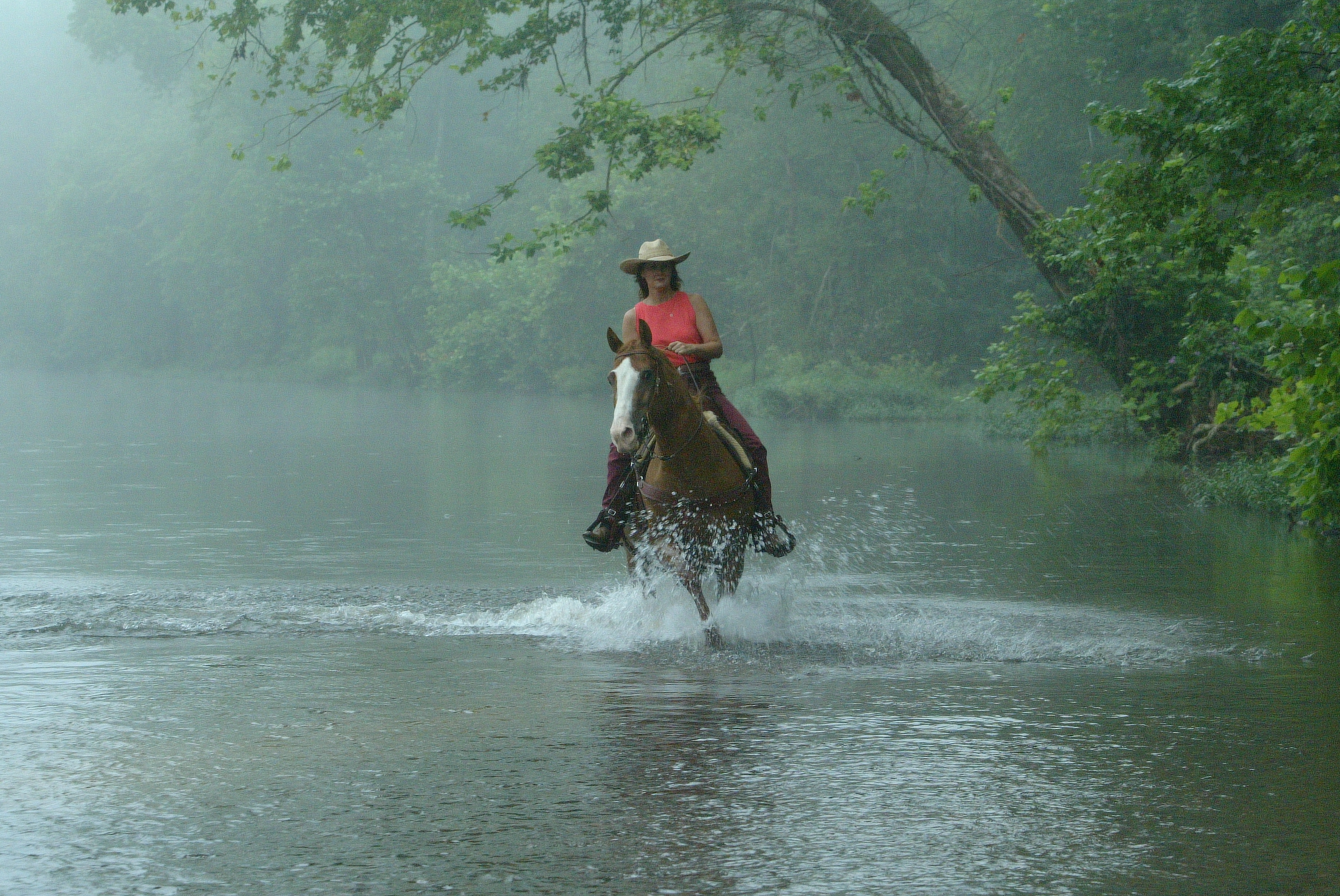 Buffalo River Trail Ride, Inc. - Gallery