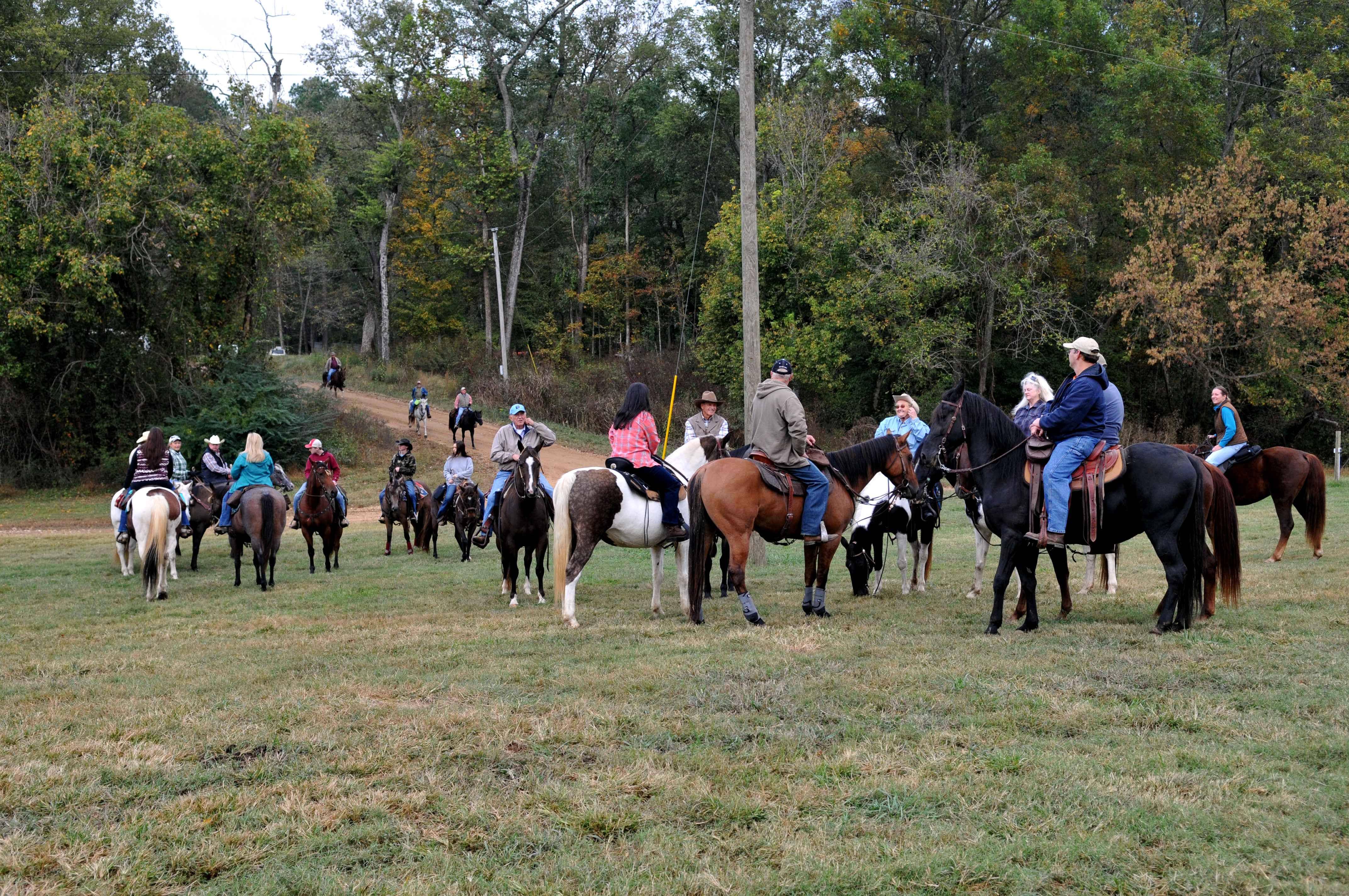 Buffalo River Trail Ride, Inc. - Gallery