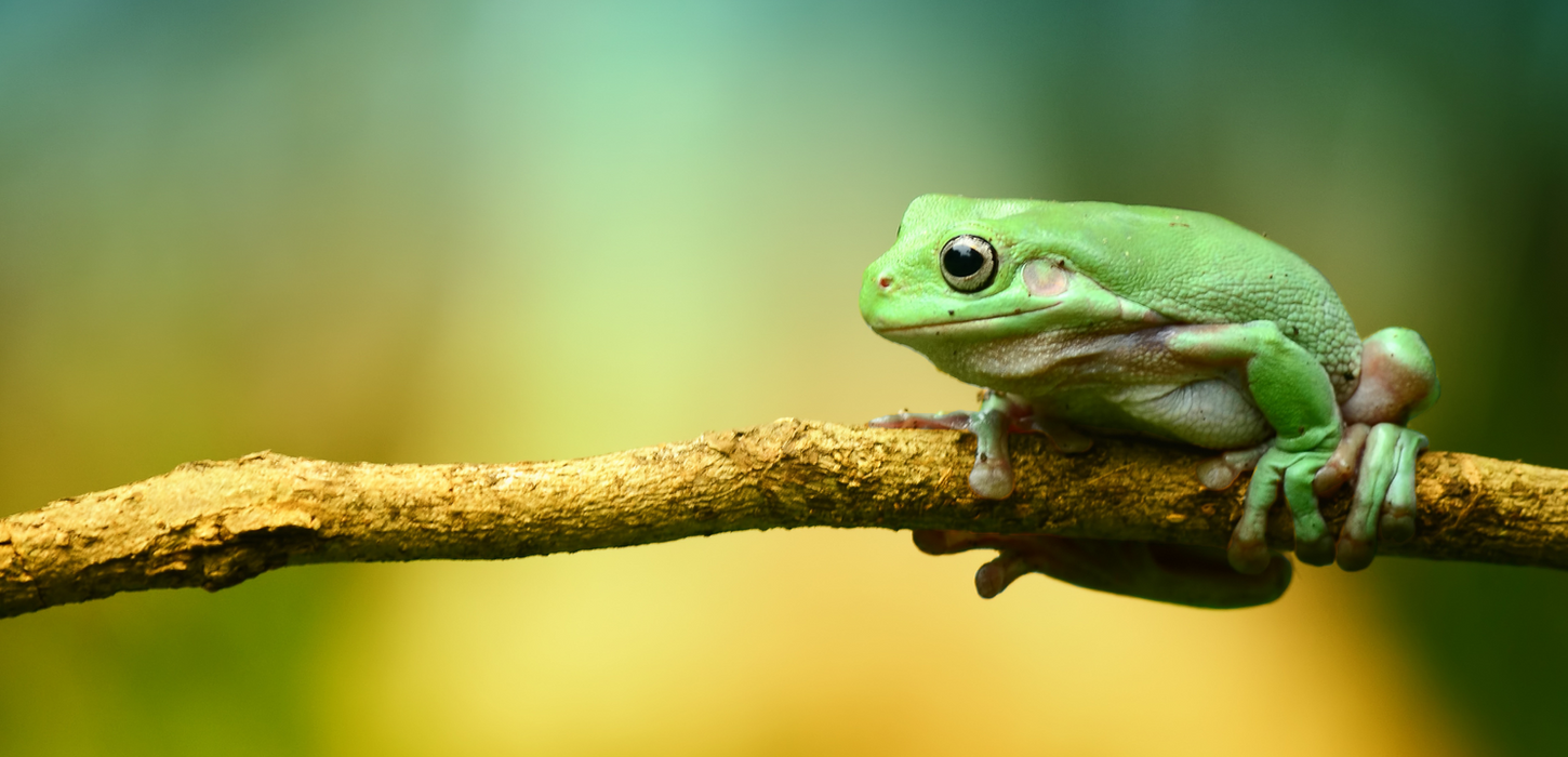 Pediatric Associates of Stockton | Medical Care for Children