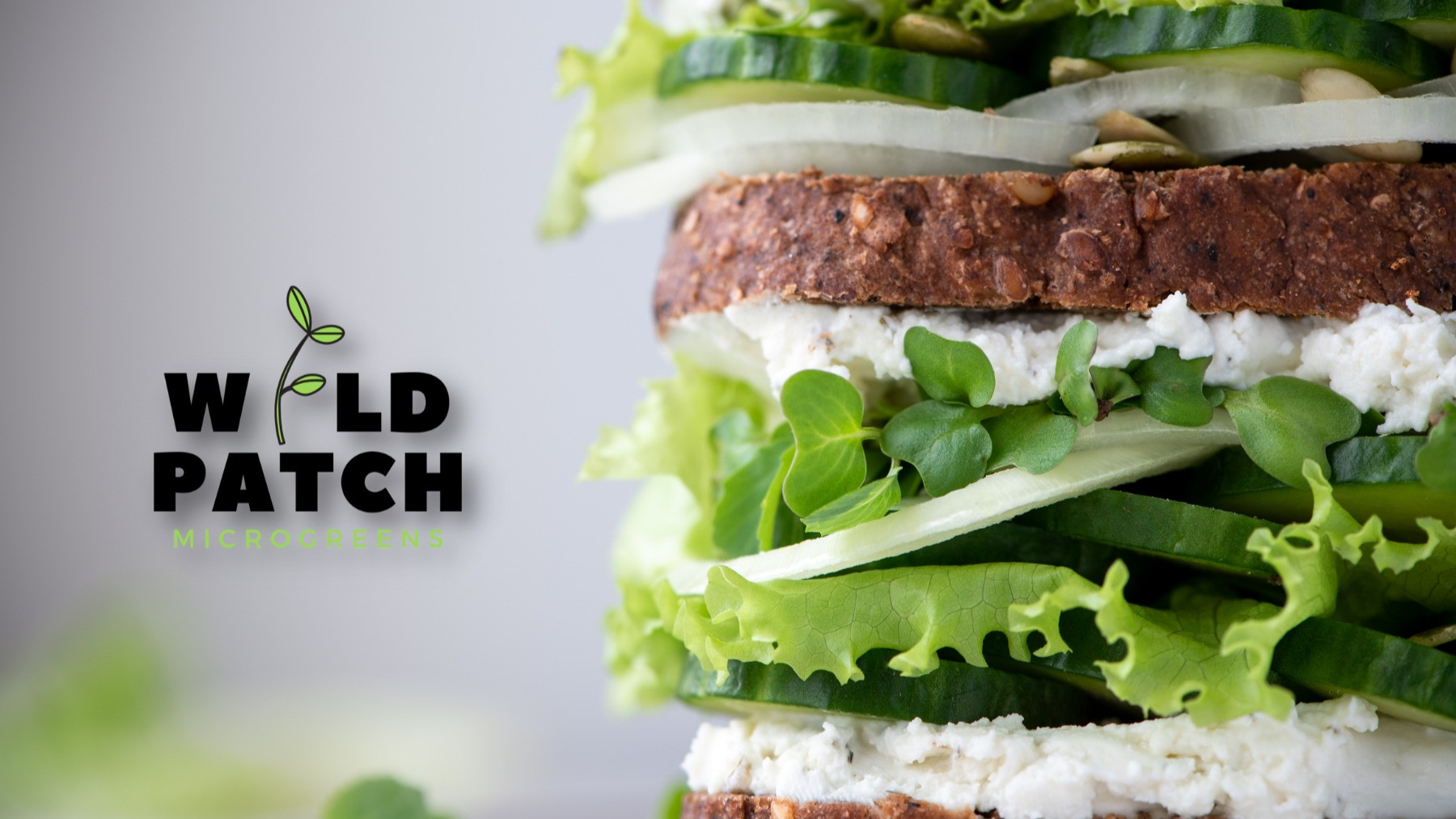SAY HELLO | Wild Patch Microgreens