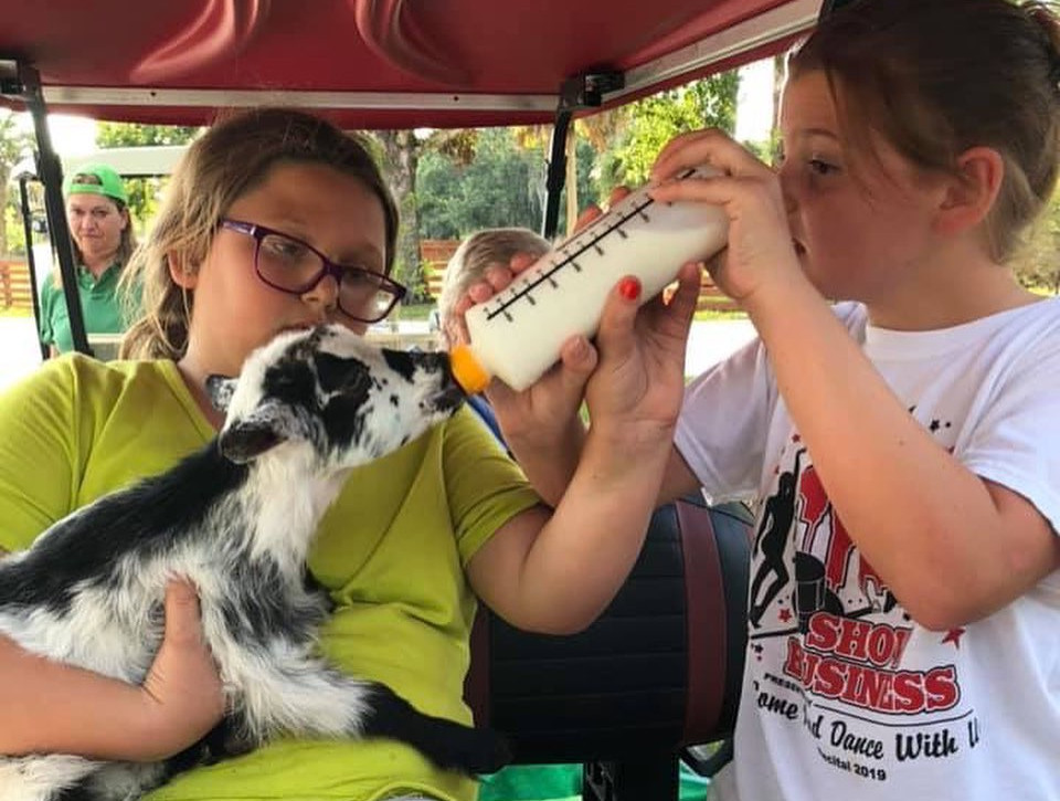 About Us | Rockin' H Ranch