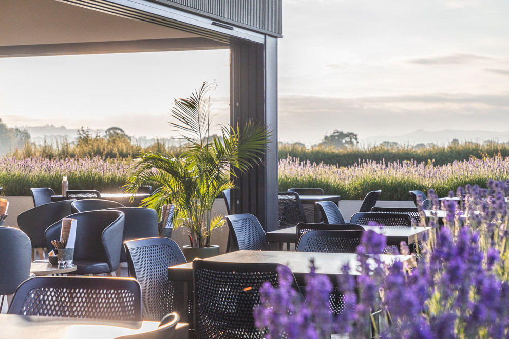 Greenhouse Cafe and Kitchen | Cafe in Welshpool | Garthmyl, Montgomery ...