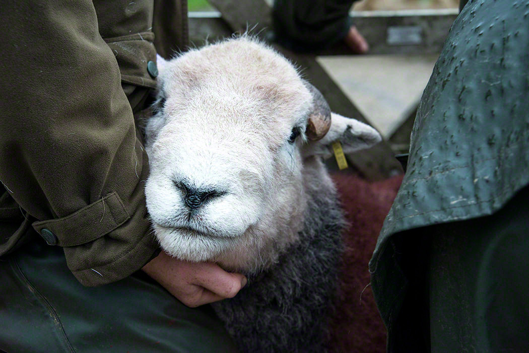 THE TUPS | spencer-photography